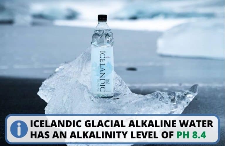 15 Best Alkaline Water Bottle Brands You Must Try in 2025