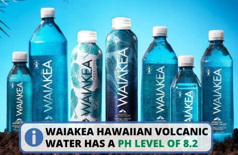 15 Best Alkaline Water Bottle Brands You Must Try in 2025